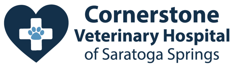Animal Hospital & Veterinarian in Saratoga Springs, NY | Cornerstone ...